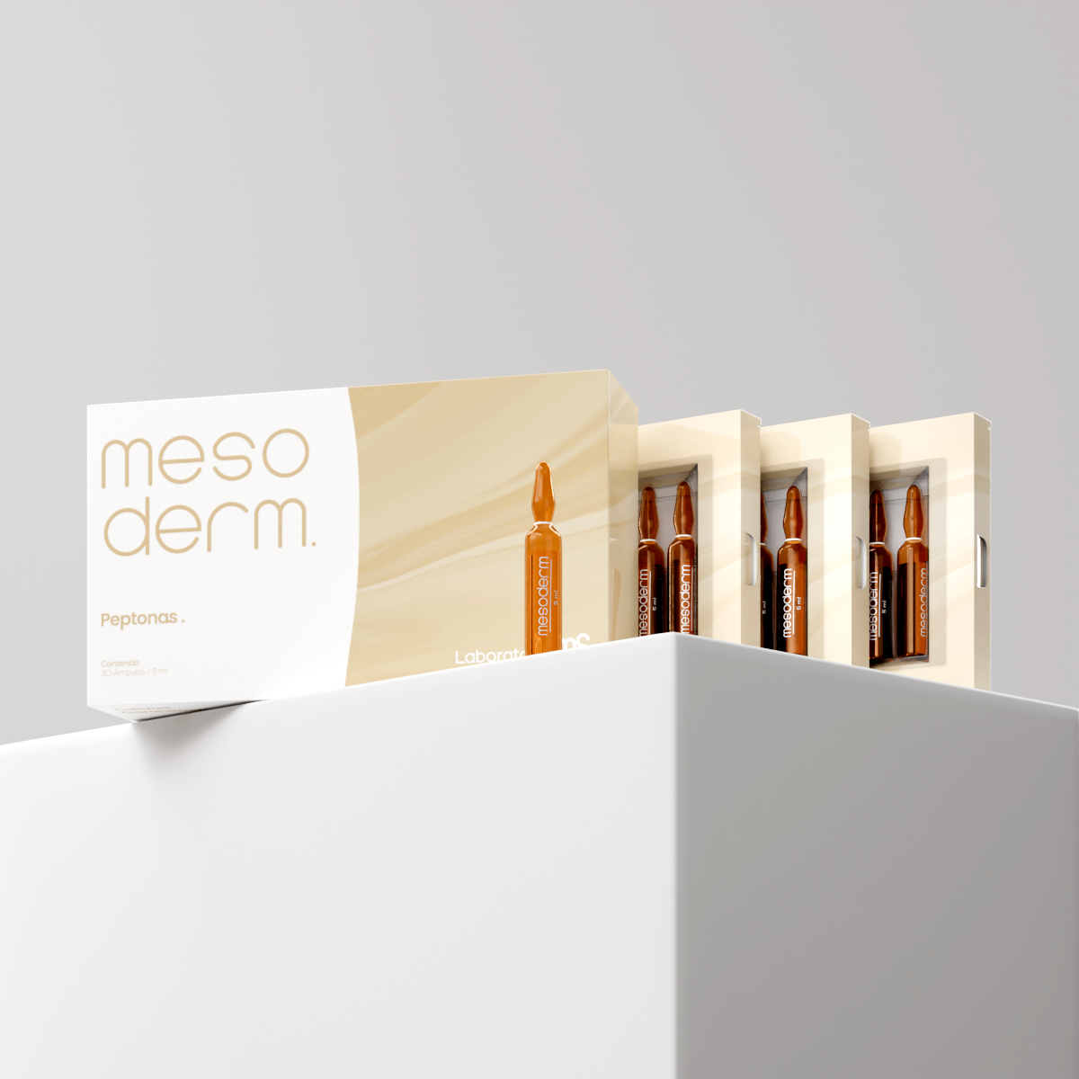 Peptonas – Mesoderm